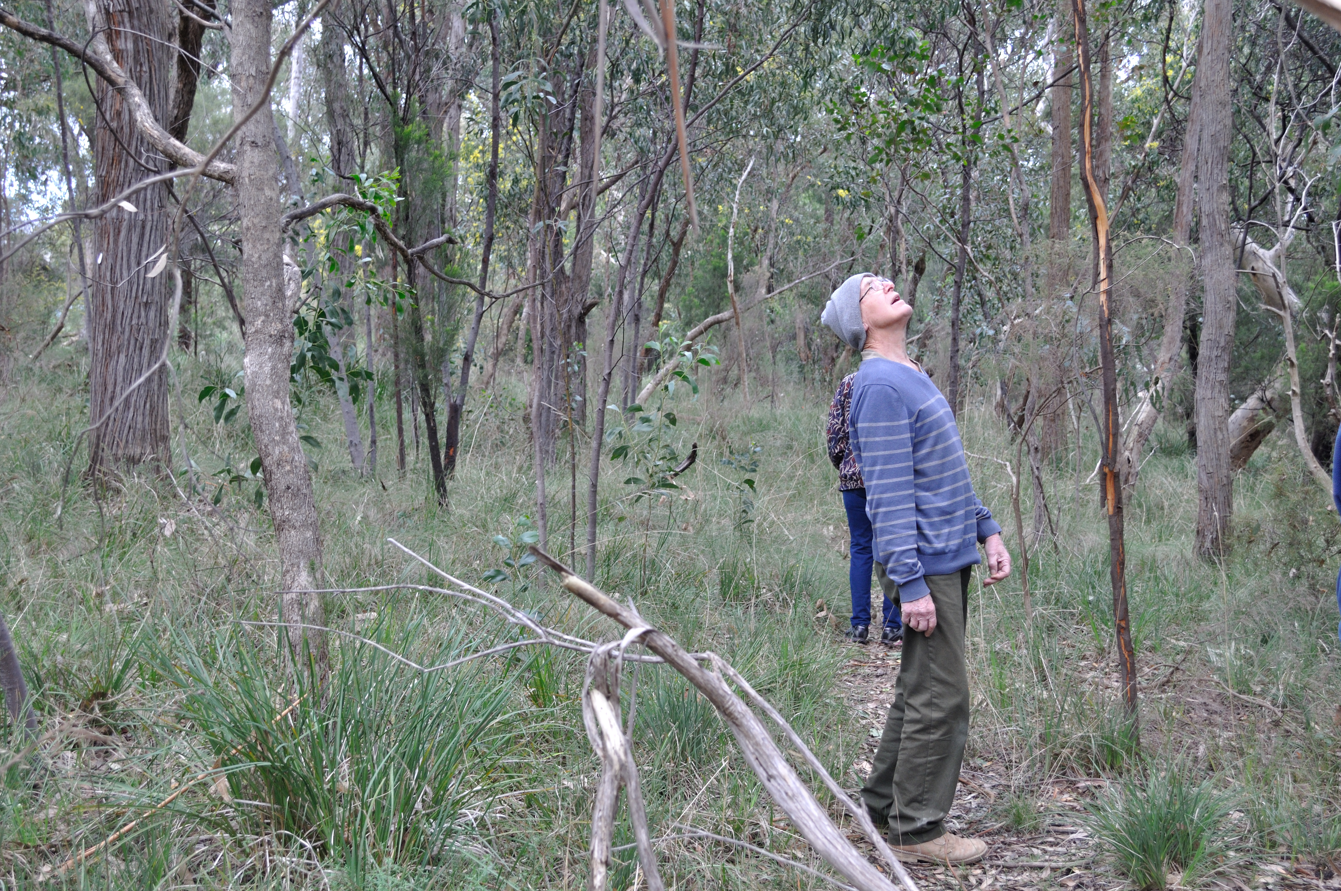 FJC Rogers Reserve