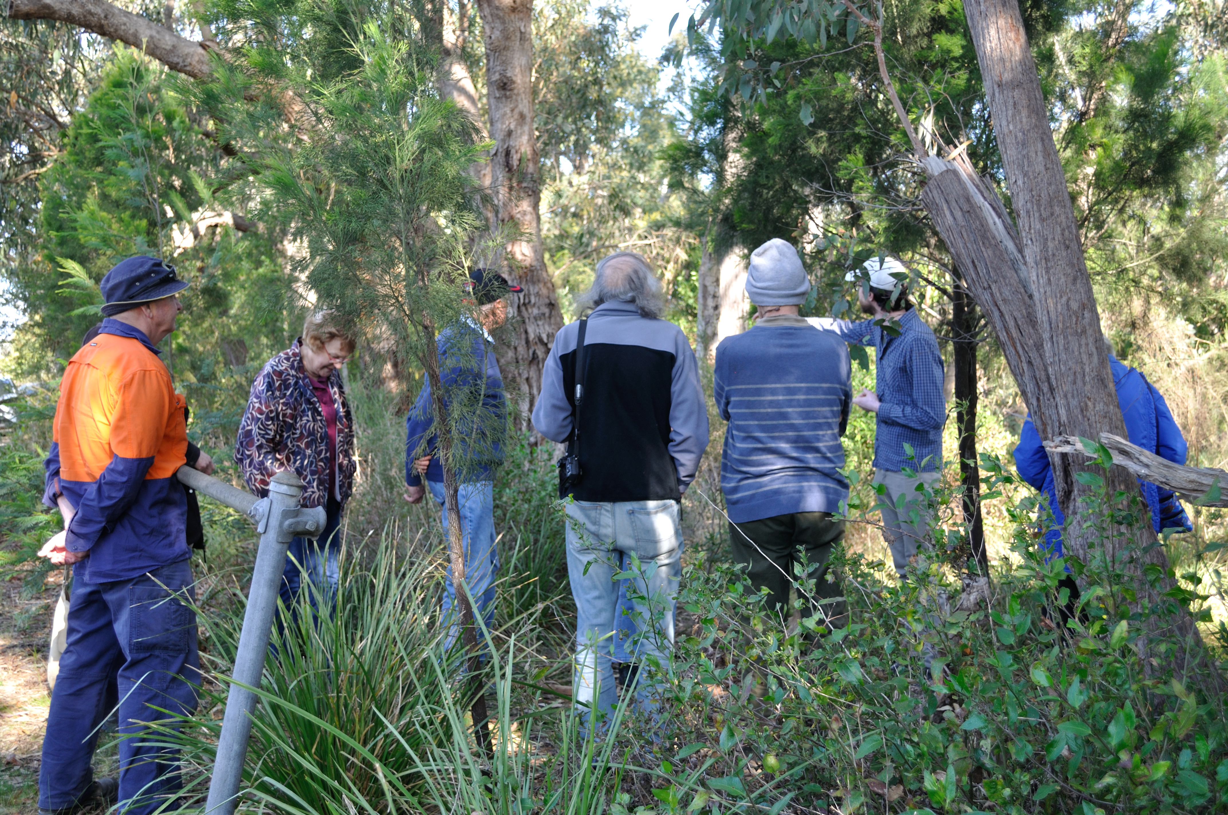 FJC Rogers Reserve